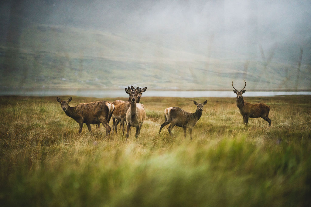 The UK's Last Remaining Wilderness - BASE Magazine