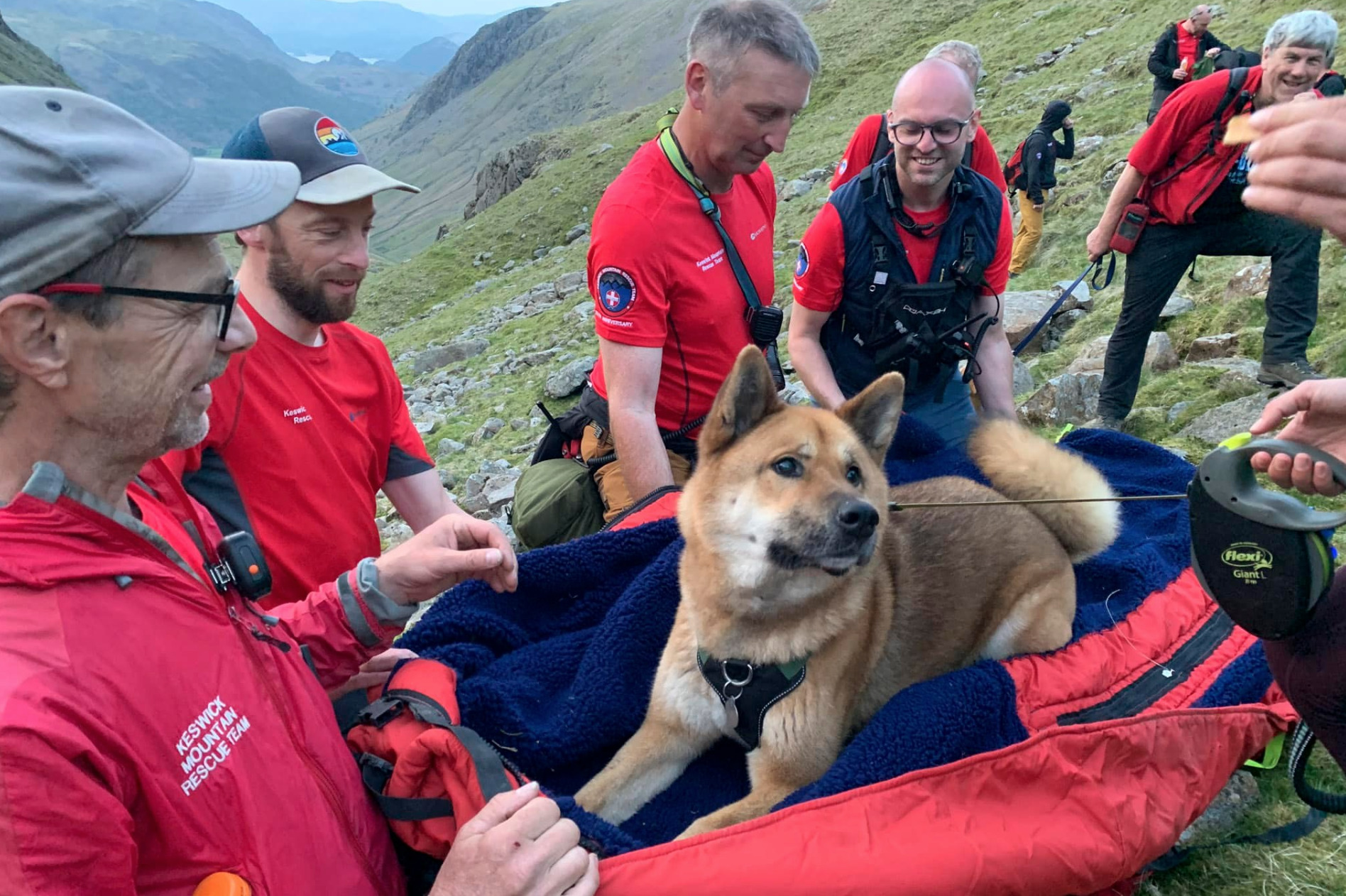 Mountain Rescue Called To Carry Exhausted Dog From England's Highest ...